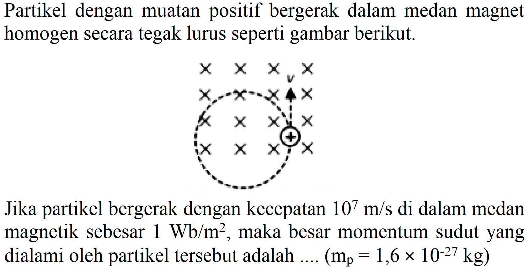 Kumpulan Contoh Soal Medan Magnetik di Sekitar Arus LIstrik - Fisika ...