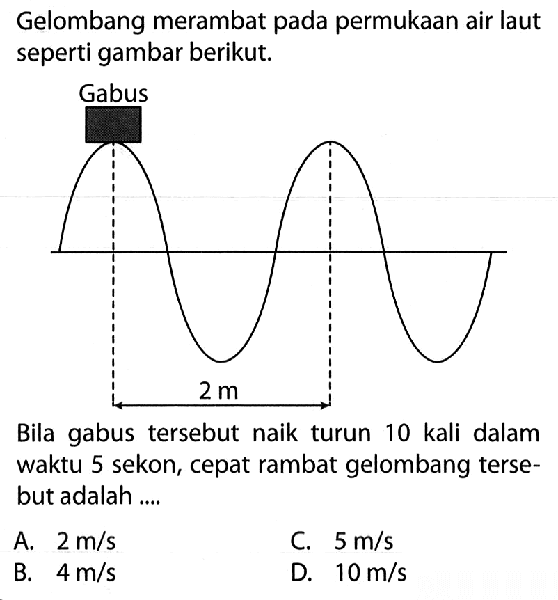 Kumpulan Contoh Soal Getaran dan Gelombang - Fisika Kelas 8 | CoLearn
